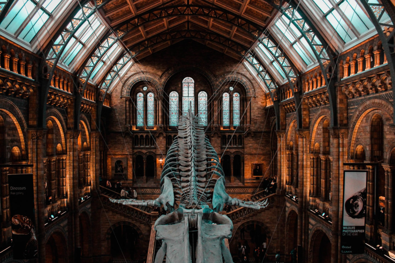 How to Make Museums More Accessible for People with Disabilities?