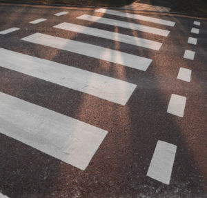 The Crosswalk: Thousands of Years of Evolution
